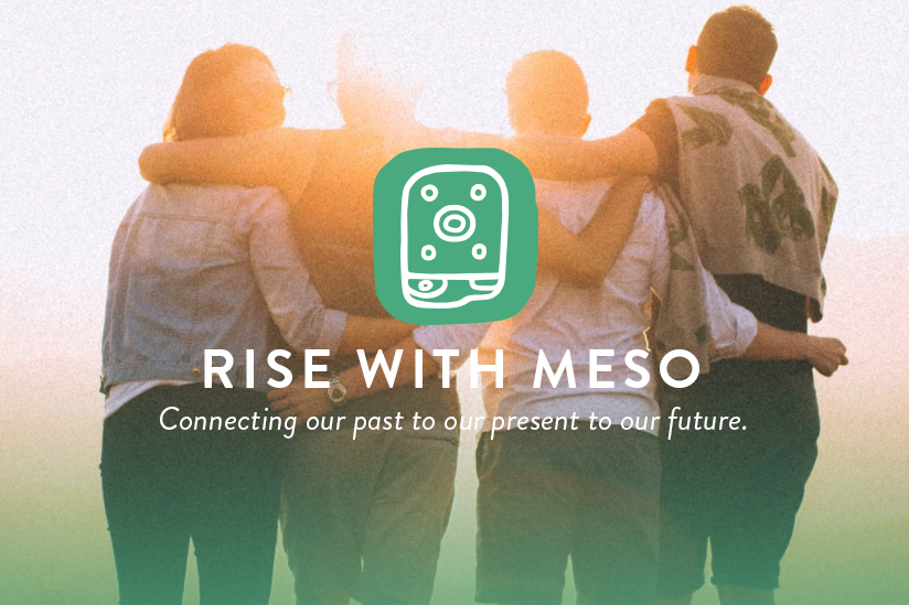 Meso Stories ESP | Meso - Meso Foundation