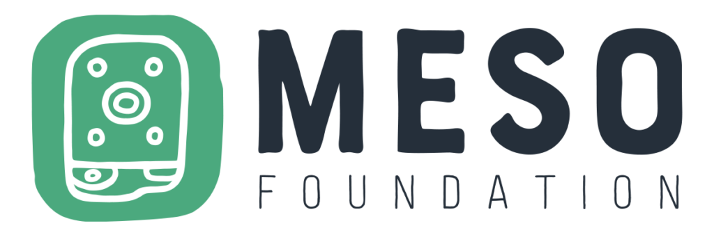 Brand Assets - Meso Foundation