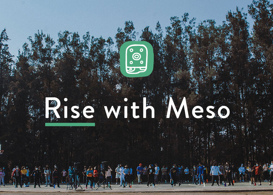 Rise with Meso! - Meso Foundation
